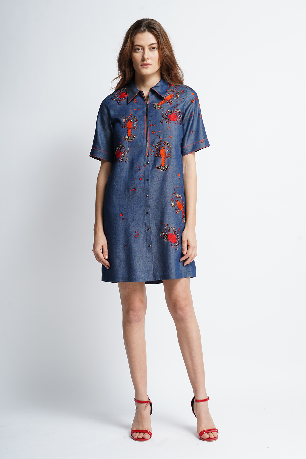 Crab And Prawns Shift Dress – Shahin Mannan